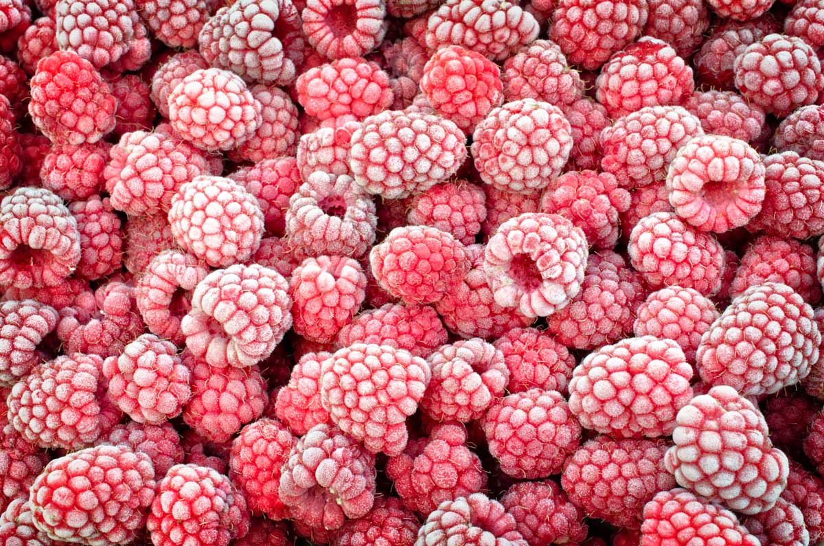 Fresh Raspberry Juice Recipe - Melissa K. Norris