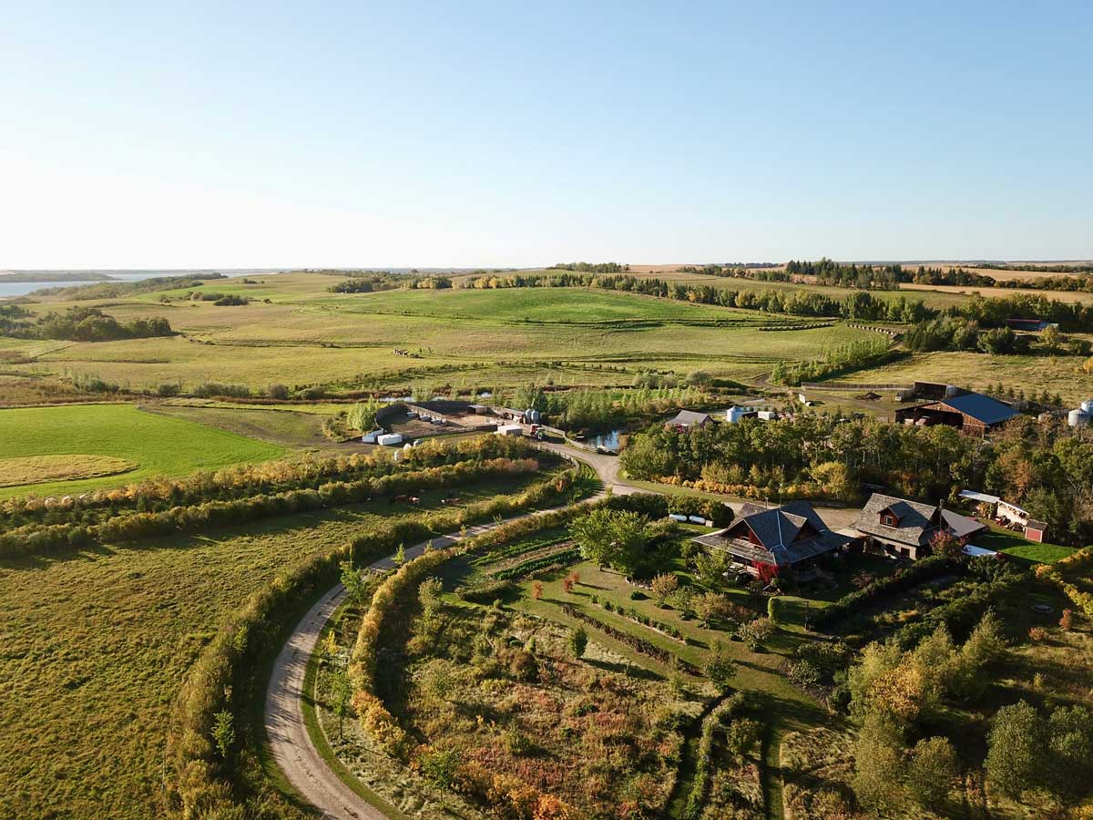 Ultimate Guide to Food Forests (Syntropic Agroforestry) - Melissa K. Norris