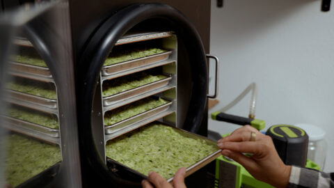 How to Freeze Dry Zucchini - Melissa K. Norris