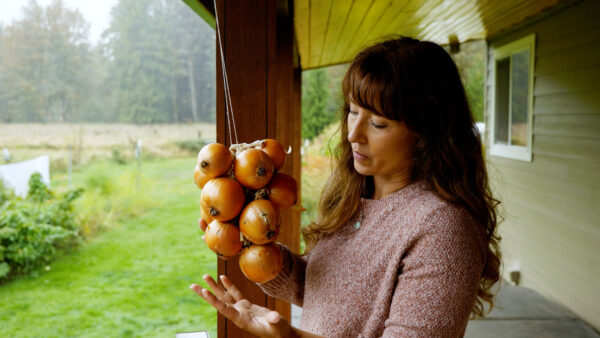 How to Harvest, Cure, String & Store Onions (For Long-Term Storage ...