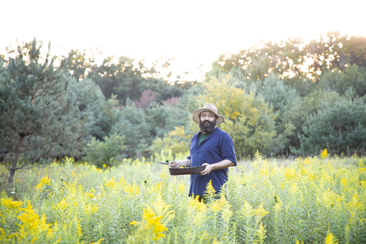 Using Herbs in Every Season - Melissa K. Norris