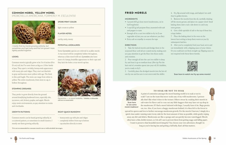Rules for Foraging Wild Edibles (+Mushroom Foraging Tips) - Melissa K ...