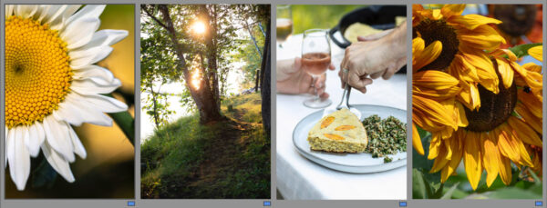 Using Herbs in Every Season - Melissa K. Norris